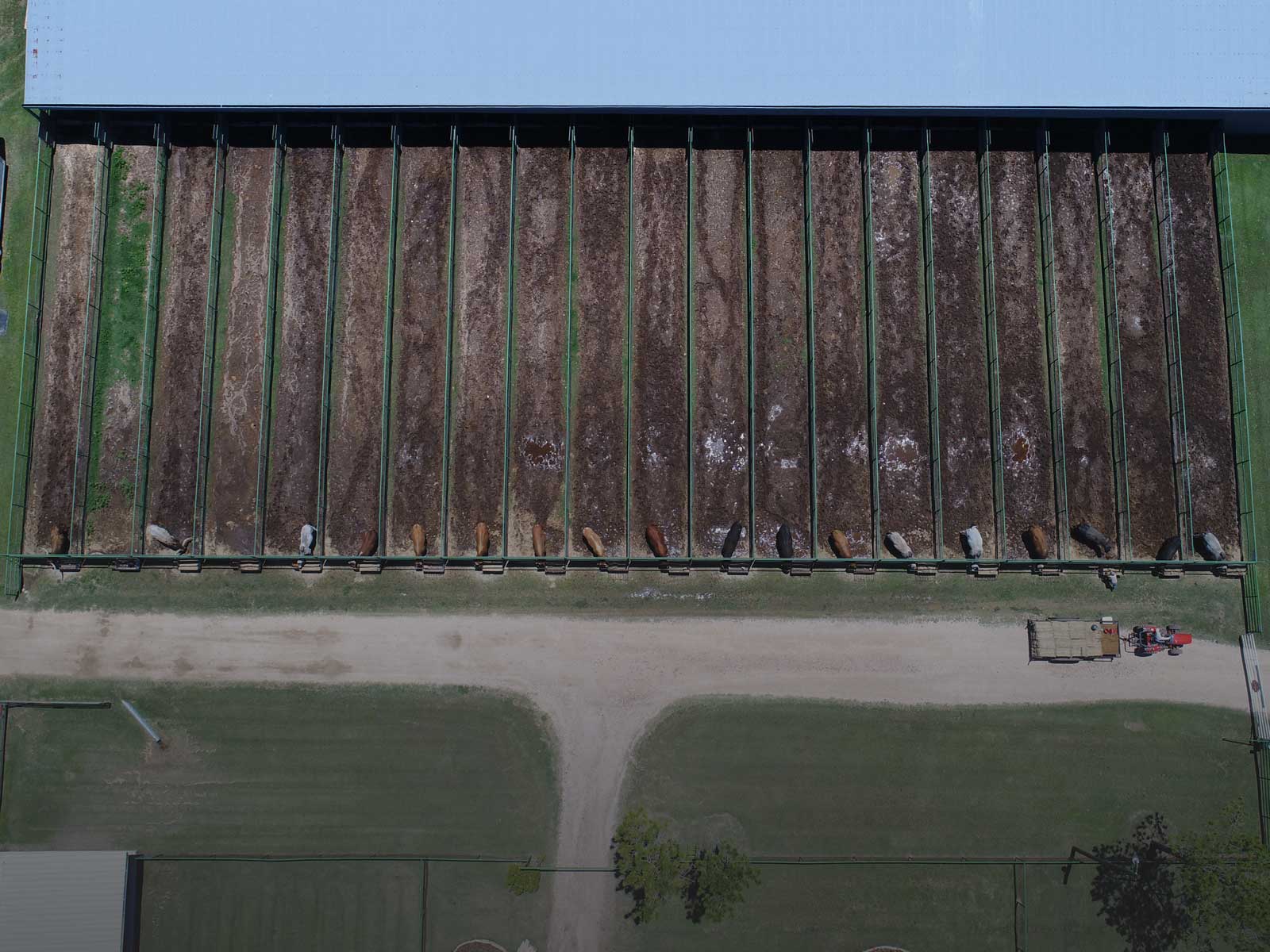 Home - Elgin Breeding Service - Custom Semen Collection